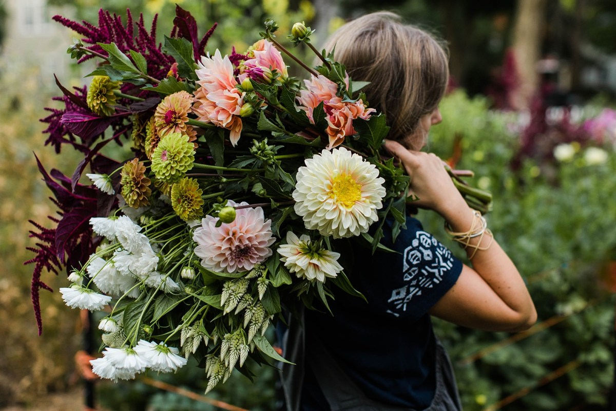 Twig End Farm – urban flower farm, growing garden-fresh blooms in flint ...