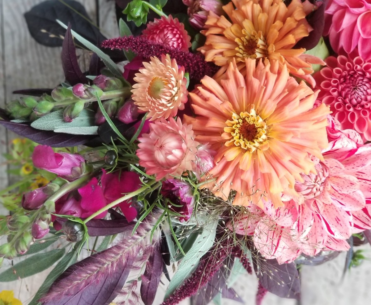 FAQs – Twig End Farm